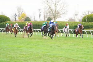 Talk of the Track – Sat Race 10
